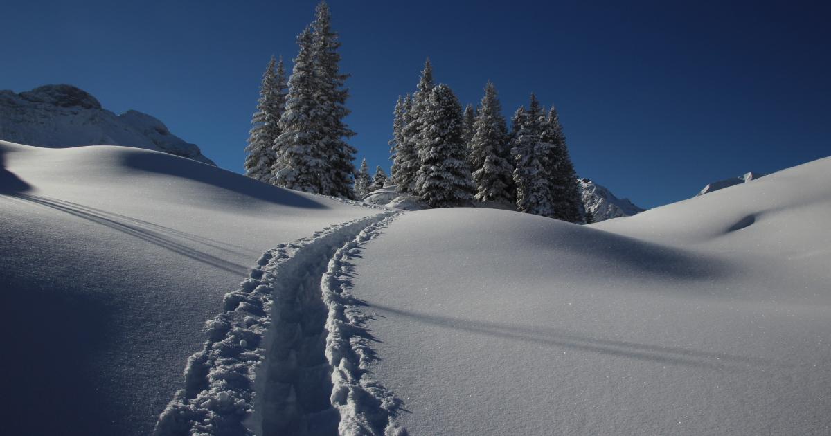 Sappy Team Appreciation Post | Savas Labs