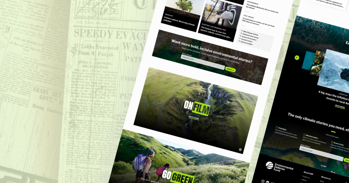 Guiding Stakeholders Through Their First Website Design Project | Savas Labs