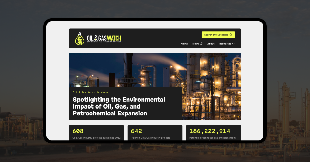 Tackling the Technical for an Environmental Watchdog | Savas Labs